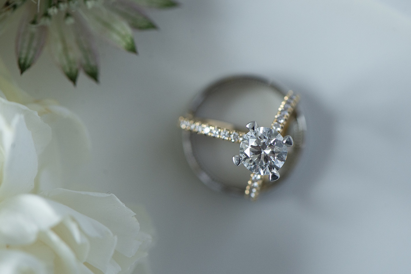 Indianapolis Wedding Photographer | Hotel Carmichael Photography ...